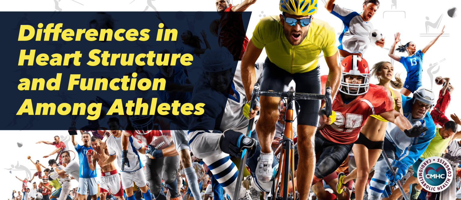 Differences in Heart Structure and Function Among Athletes ...